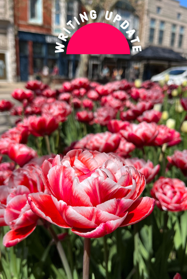 Writing Update May 2023 - Troy Hooker